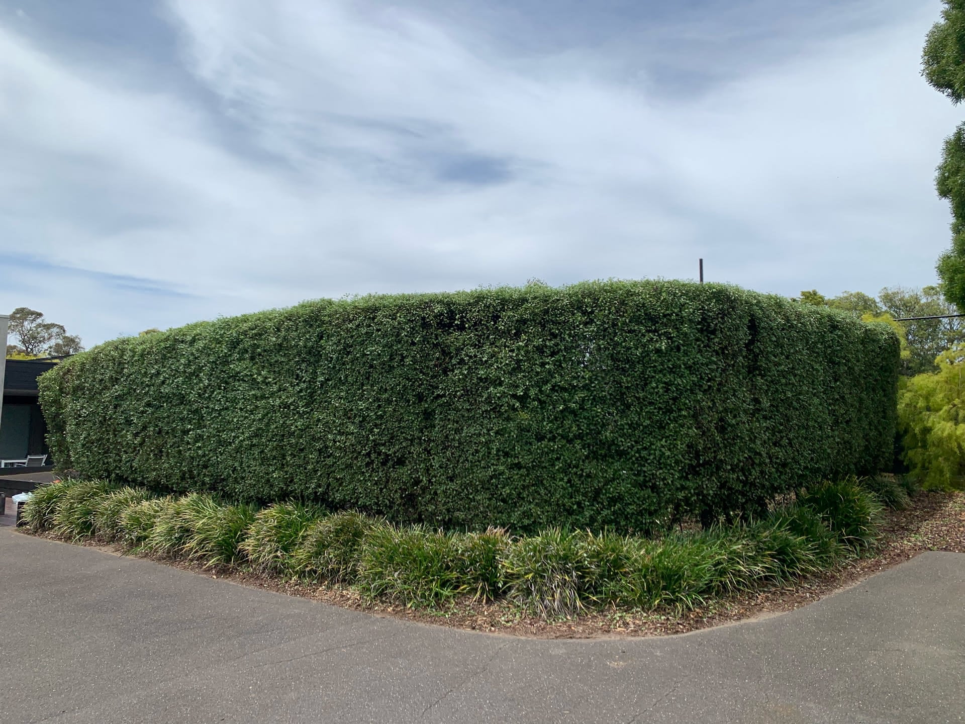 Hedge Trimming Mornington Peninsula - Fresher Gardens